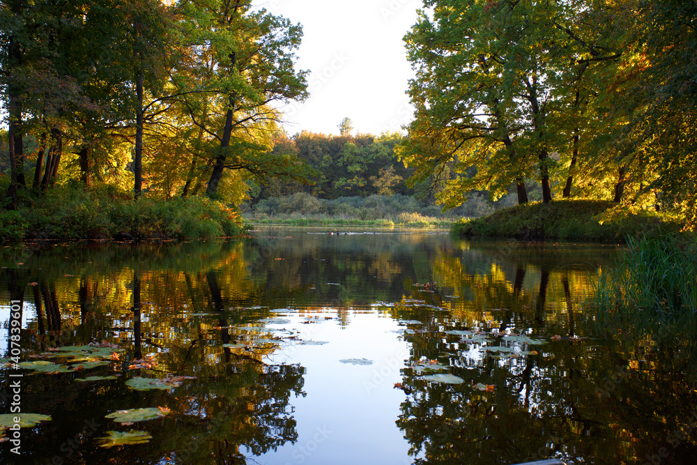 Beautiful forest lake, located between two round islands green ...