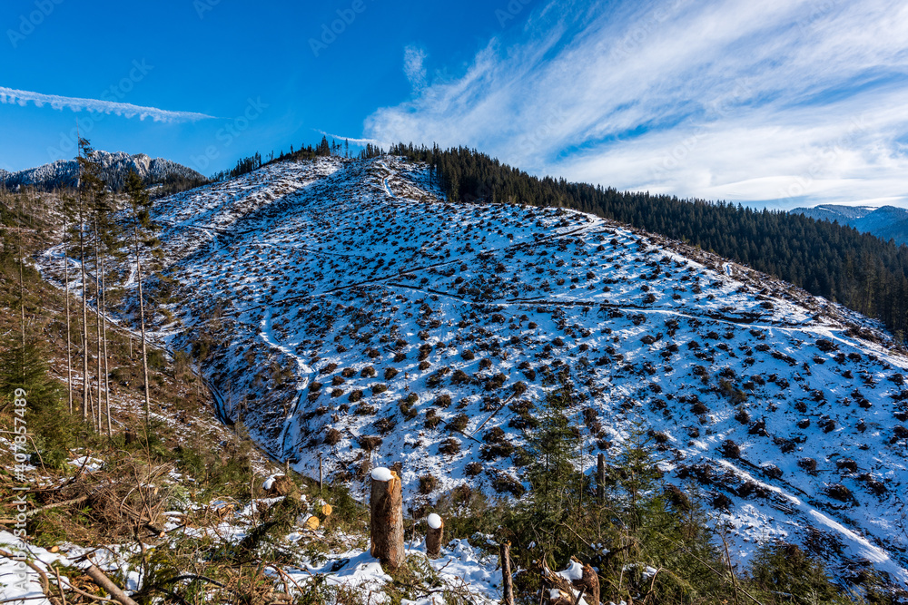 Deforestation. View of deforestation mountain with forest roads ...