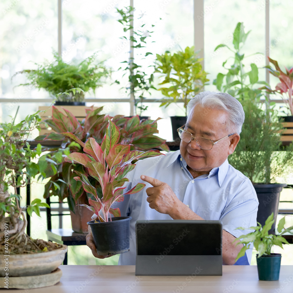 A retired old man spends free time planting potted plants. He uses ...