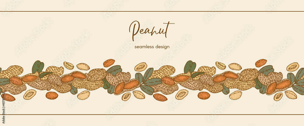 Border frame with Peanut, nuts and leaves. Graphic hand drawn engraving ...