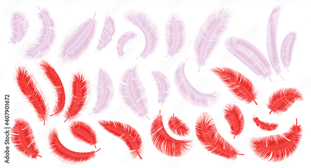 Pink and red feathers. Realistic flamingo fluffy plumage, parrot and ...