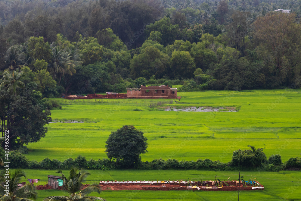 Indian agricultural land farming in Indian village side Stock Photo ...