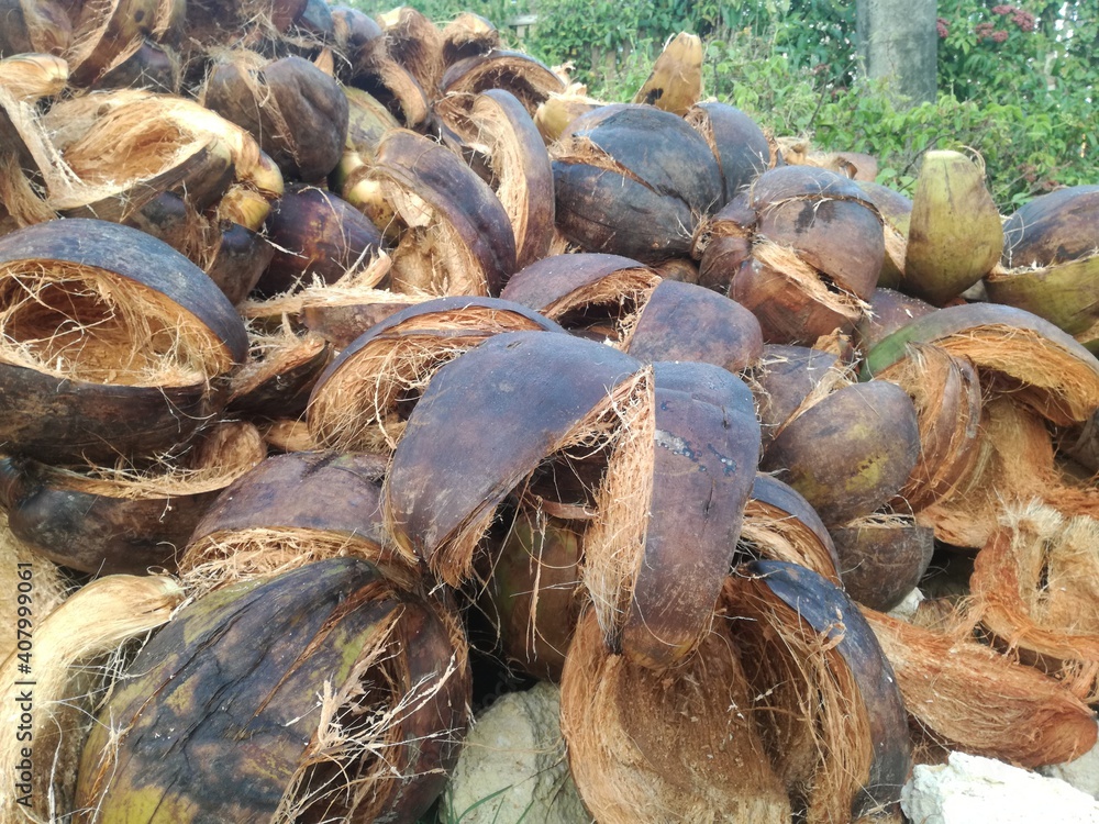 Coconut fiber known as waste actually can be used as a palm fiber broom ...