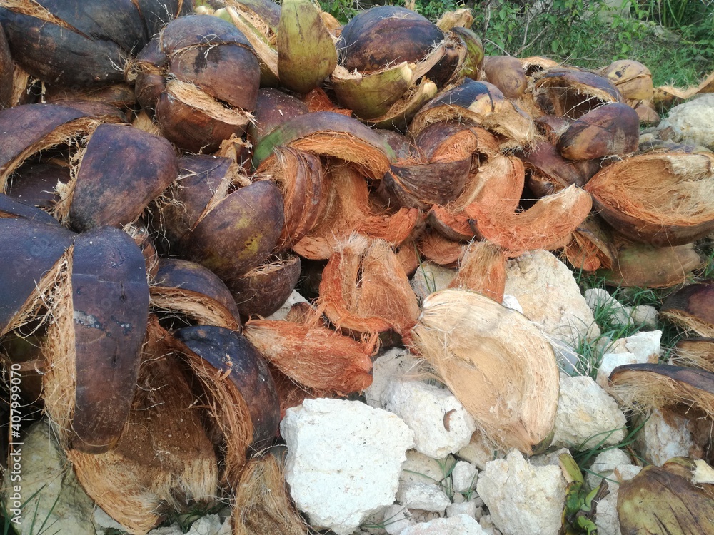 Coconut fiber known as waste actually can be used as a palm fiber broom ...