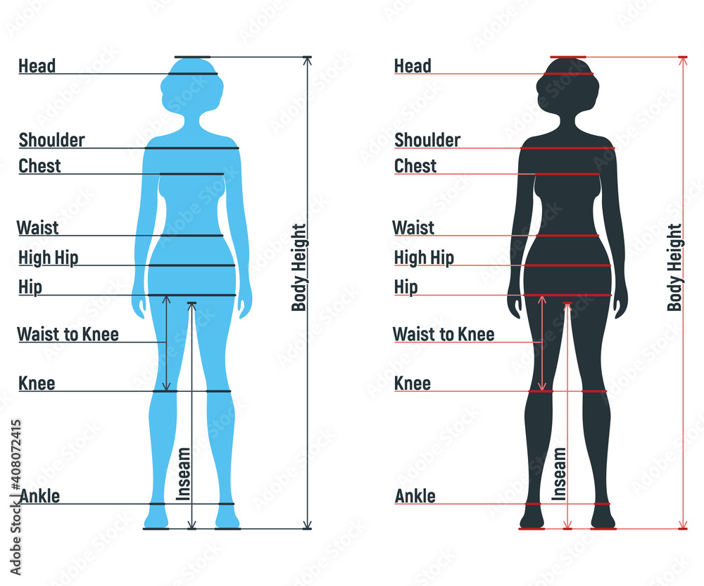 Female size chart anatomy human character, people dummy front and view ...