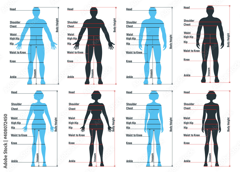 Female and male size chart anatomy human character, people dummy front ...