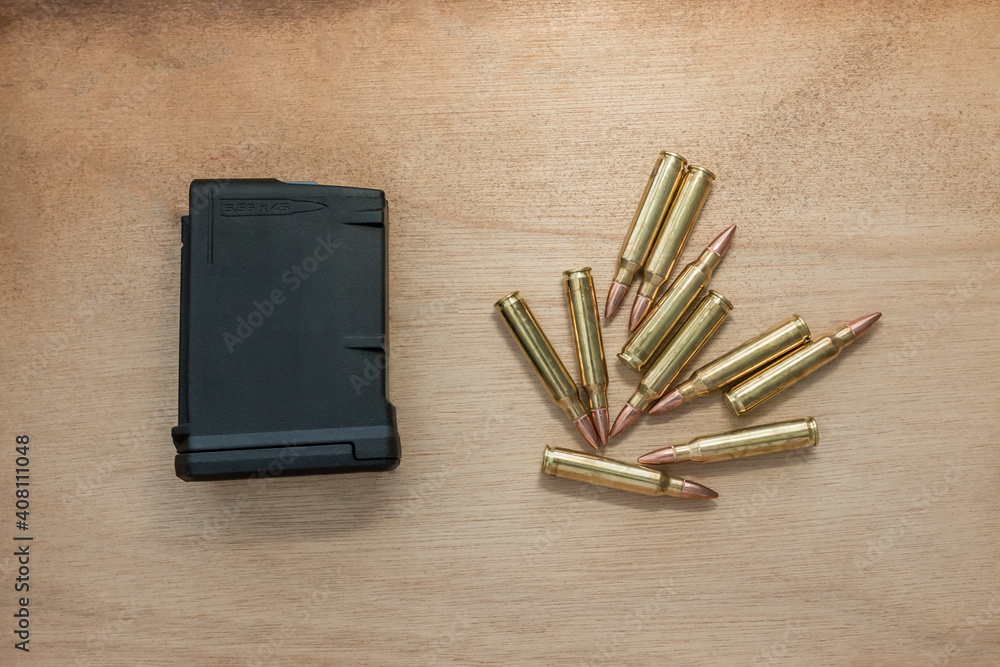 10 round bullet magazine for an AR-15 semi-auto assault rifle guns with ...