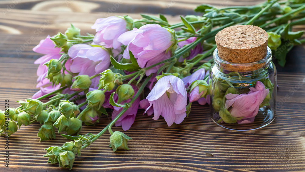 Malva alcea , greater musk-mallow, cut-leaved mallow, vervain mallow or ...