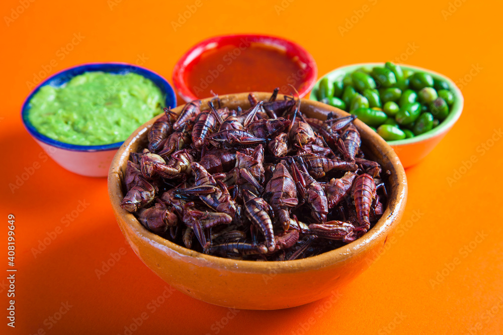Chapulines Food