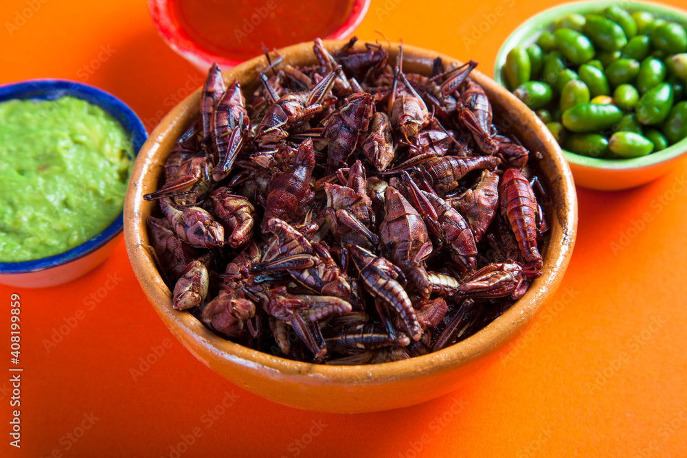 grasshoppers chapulines snack. Traditional mexican food Stock Photo ...