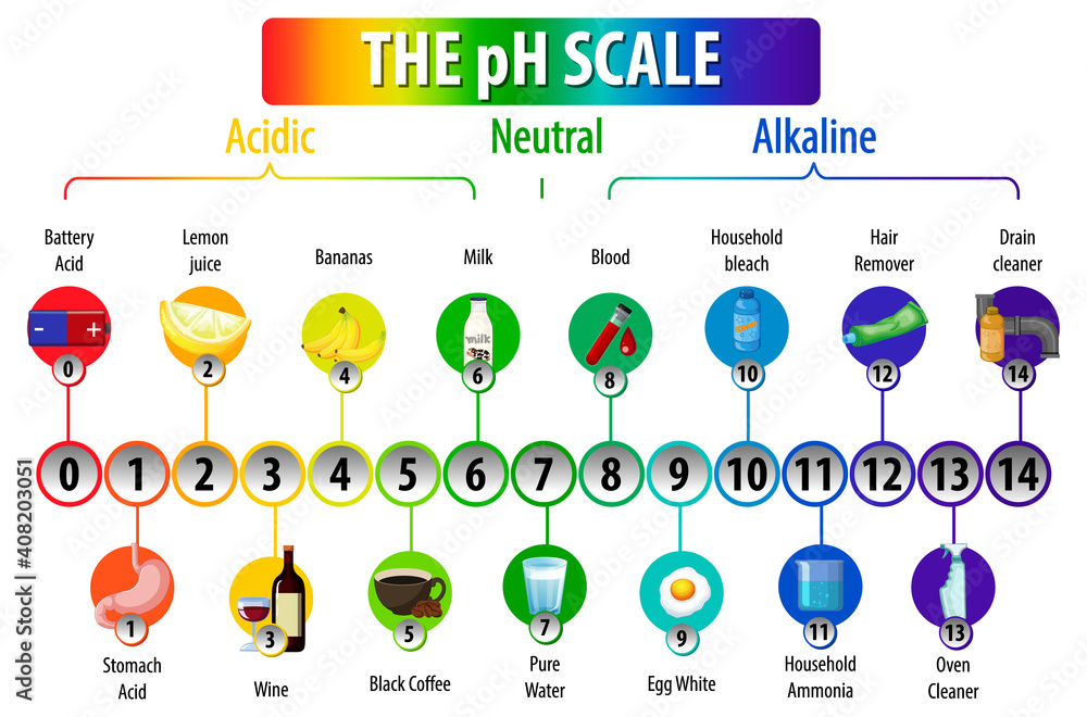 The pH Scale diagram on white background Stock Vector | Adobe Stock