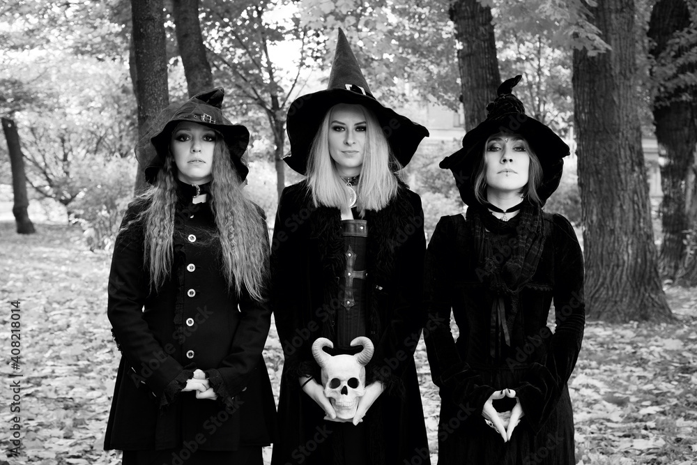 Coven of witches, a group of different friends as witches meet ...