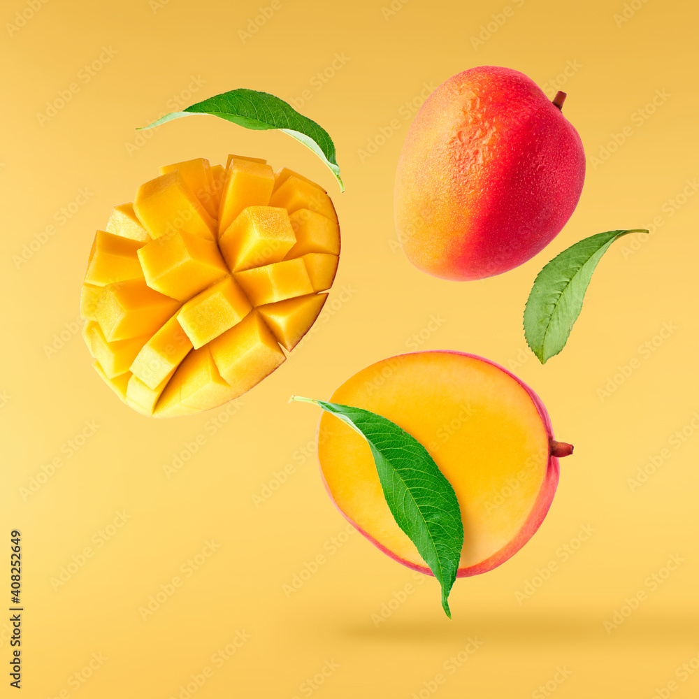 Fresh ripe mango falling in the air Stock Photo | Adobe Stock