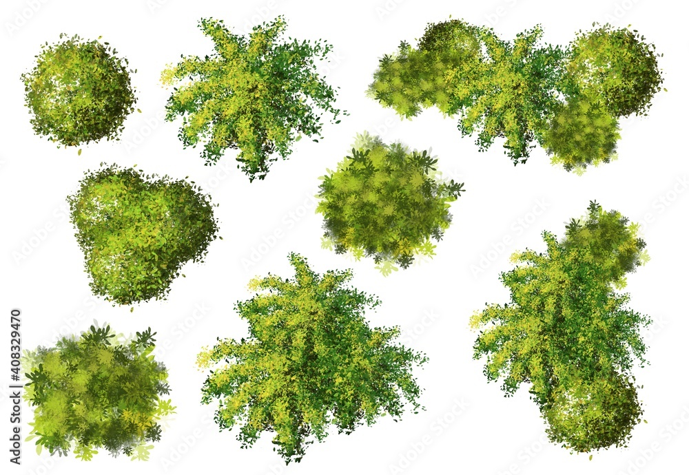 Collection of abstract watercolor green tree top view isolated on white ...