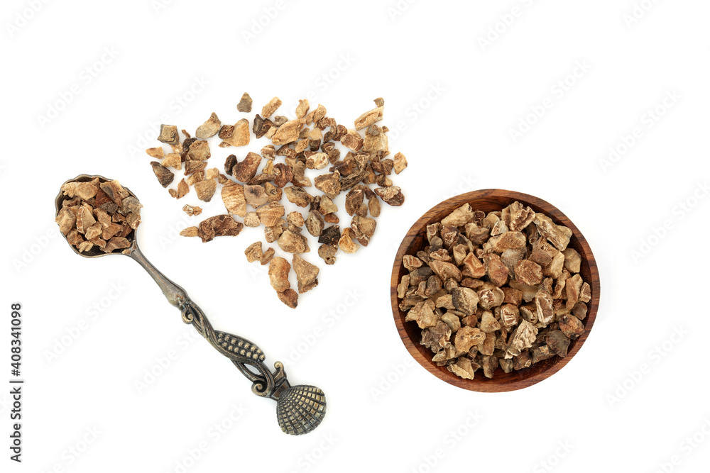 Devils claw root used in herbal medicine to treat arteriosclerosis ...