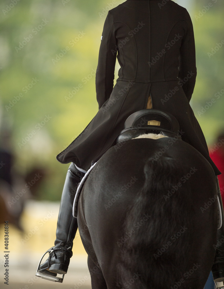 Dressage Horse rider from behind dressed in dressage apparel attire ...