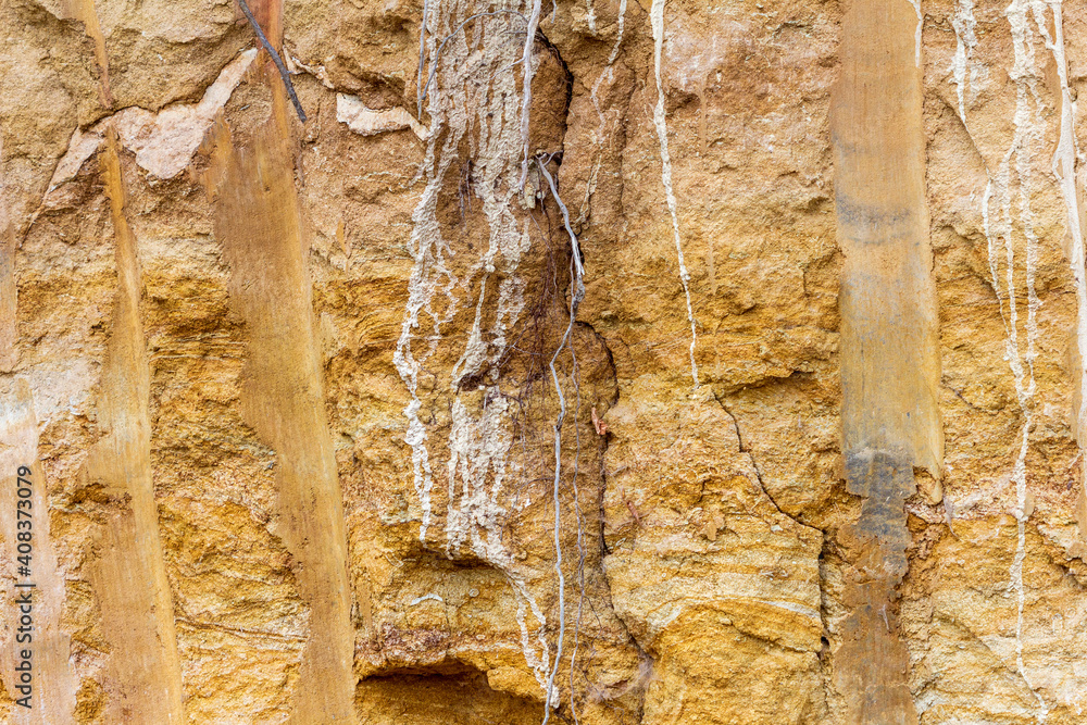 Natural stone,natural stone structure on the cut, streaked with roots ...