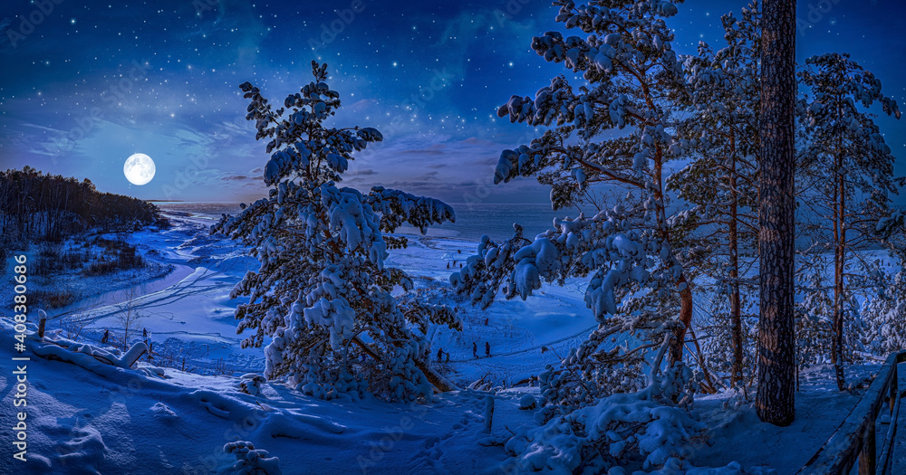 Magic winter night in a snowy sea coast surrounded by covered in snow ...