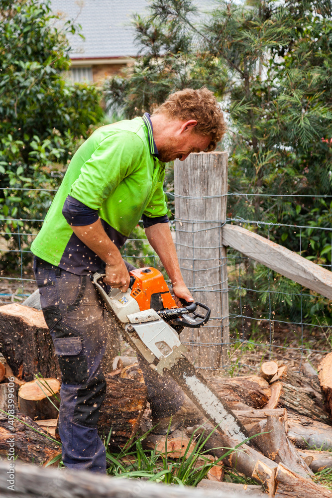 Workman using a chainsaw to cut logs into smaller rounds of wood Stock ...