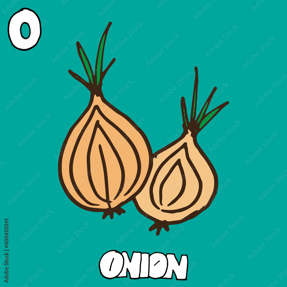 onion-hand drawn lettering on blue background. alphabet, english for ...