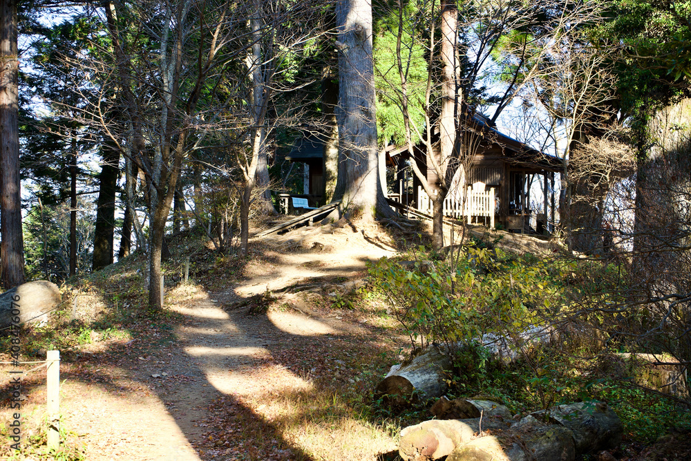 The view of Japanese forest and shrine in Tokyo. Stock Photo | Adobe Stock