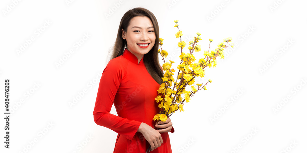 Beautiful young woman holding Hoa Mai tree (Ochna Integerrima) flower ...