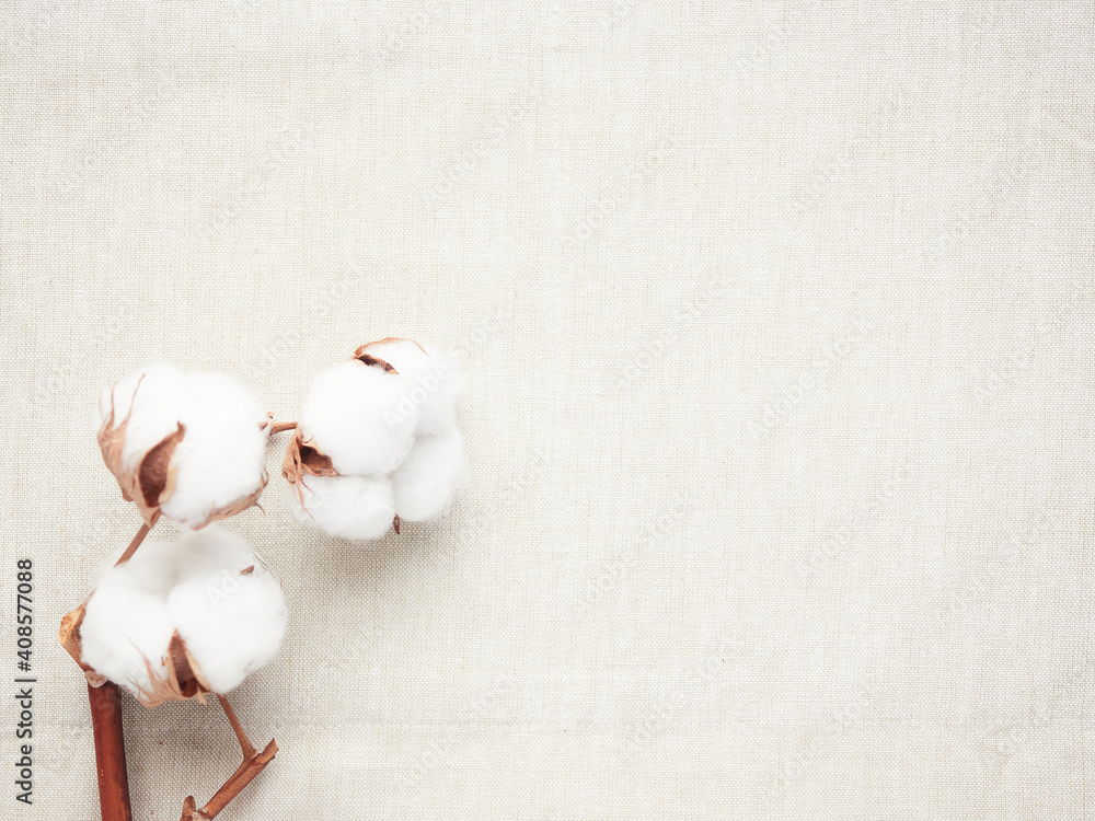 three cotton flowers on fabric, natural and soft fabric concept ...