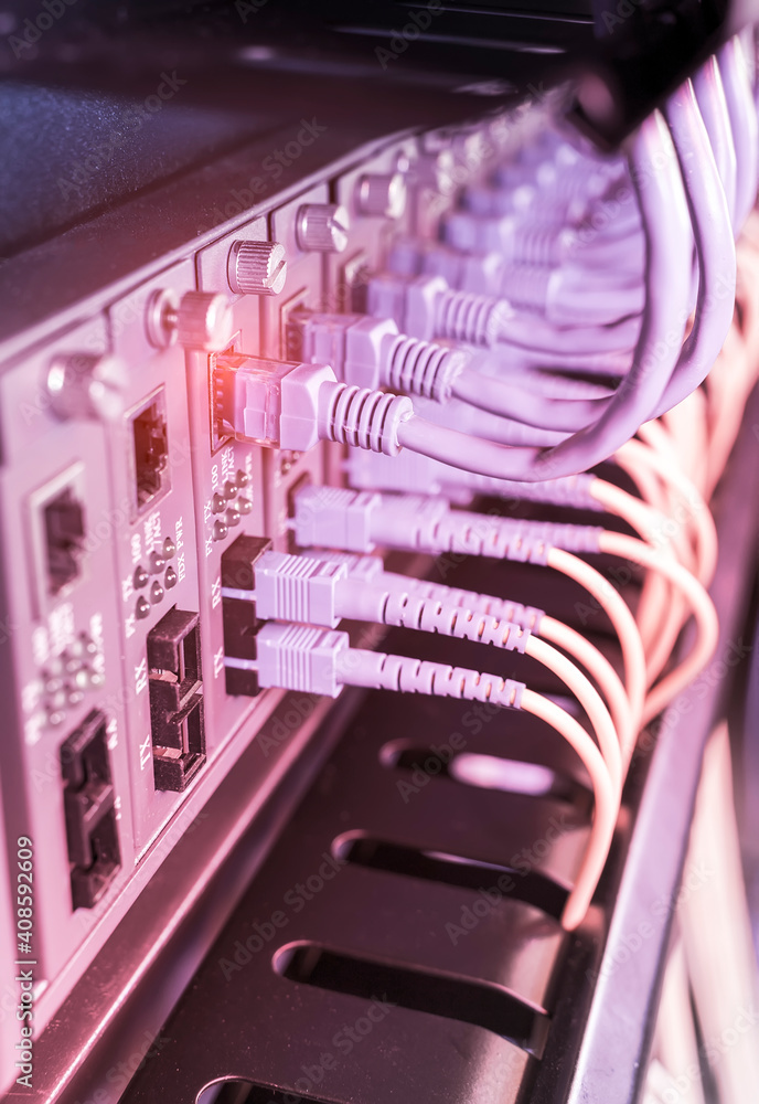 Fiber Optical cables connected to an optic ports and Network cables ...
