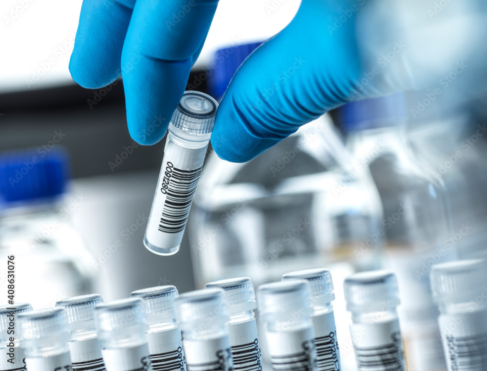 Clinical Testing, DNA sample being prepared for testing in the lab ...