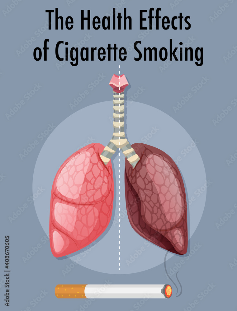 Cigarette Smoking Effects