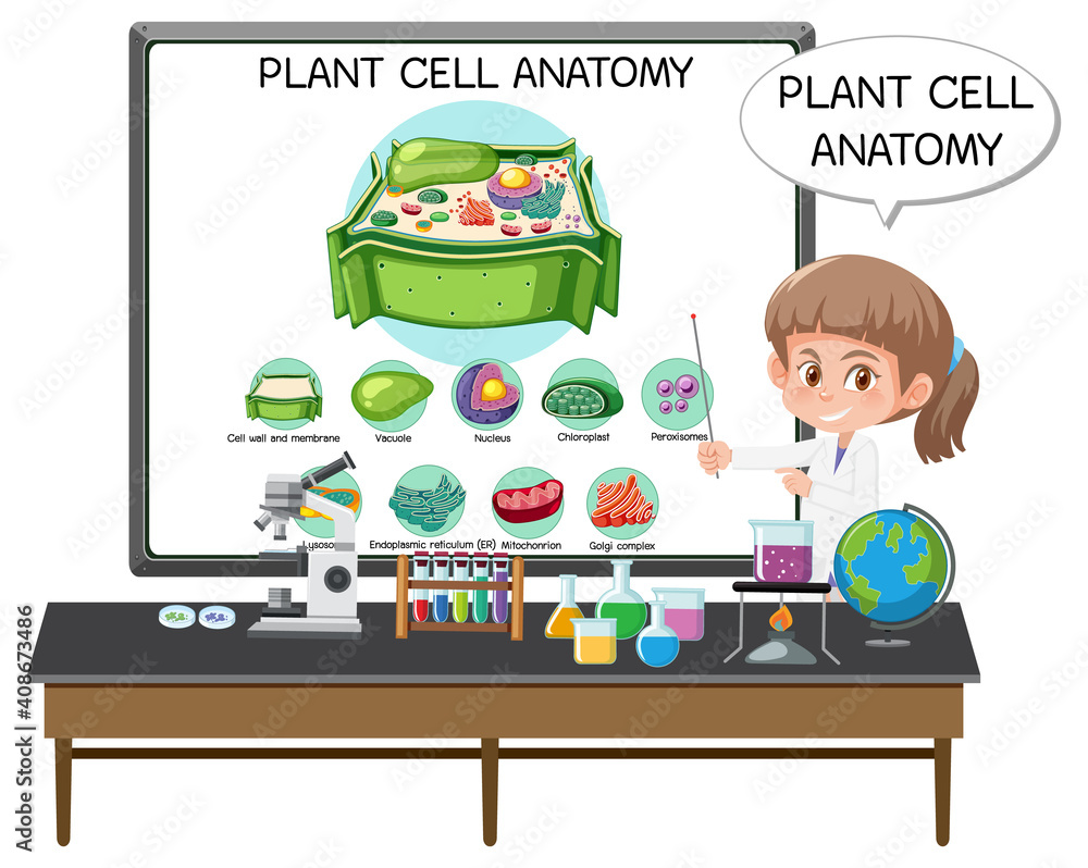Young scientist explaining the anatomy of the plant cell (Biology ...