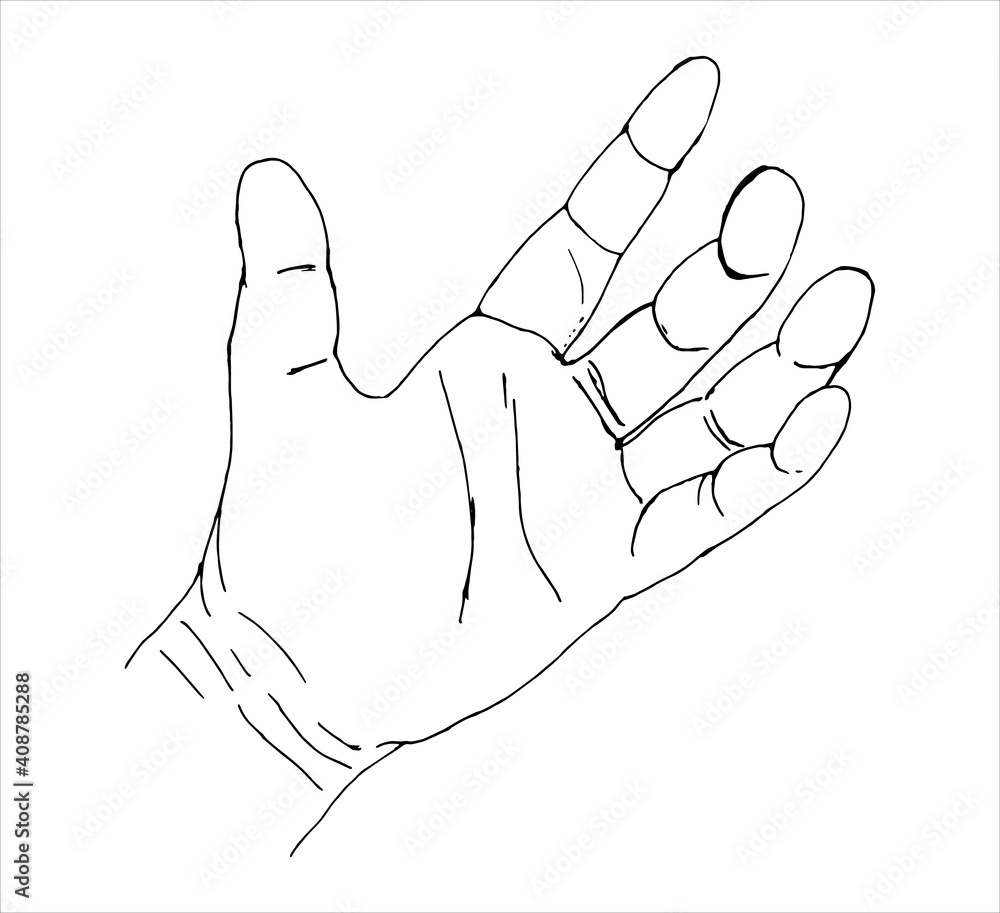 Female left Hand isolated on white background. Outline. Vector sketch ...