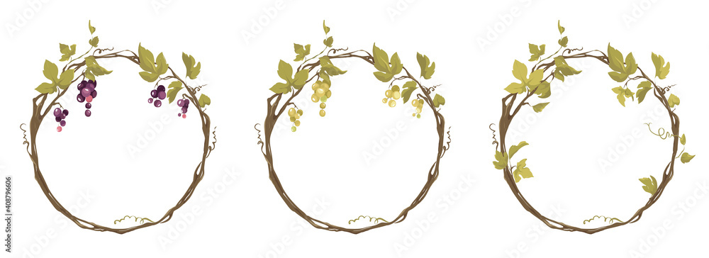 Vetor de Grapevine - vector illustration. Design elements with a ...