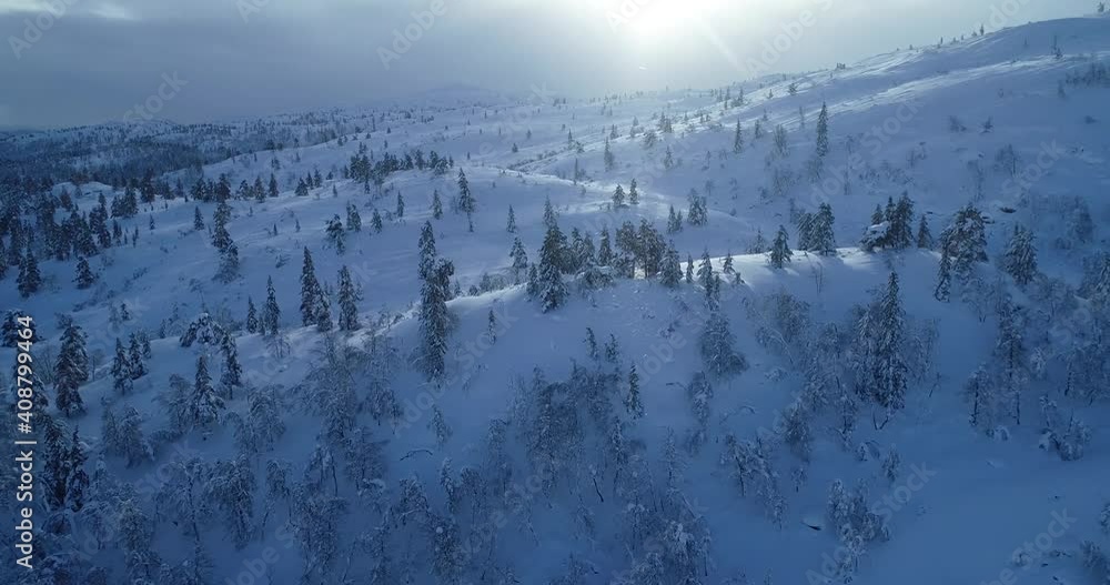 Epic drone aerial footage of mountains in Norway. Forest covered with ...