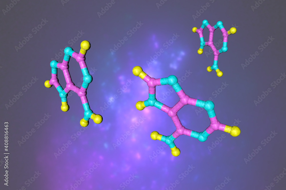 Molecular model of adenine or vitamin B4, a purine nucleobase, one of ...