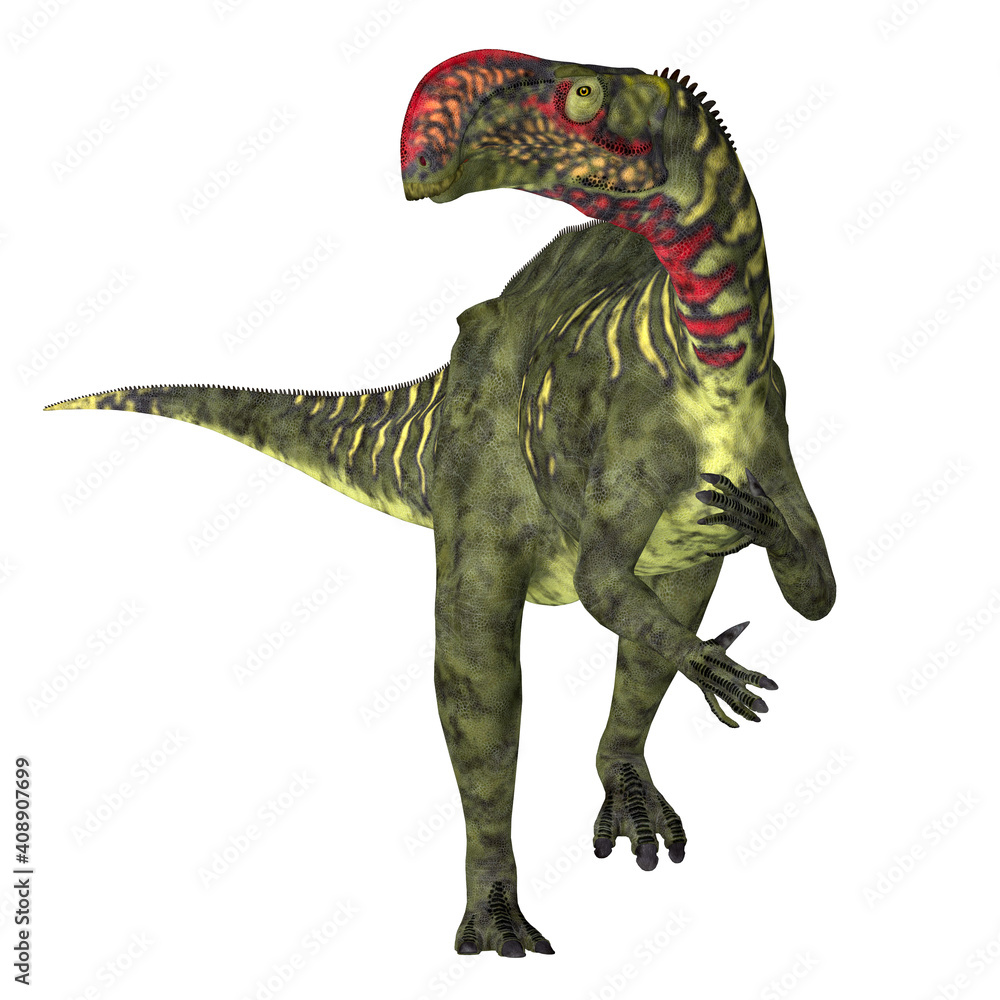Altirhinus Dinosaur Front - Altirhinus was a duck-billed iguanodon ...