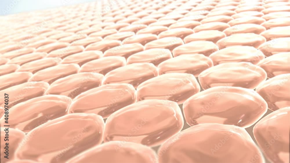 Cosmetic 3D animation design skin cell layer. Serum for lightening Dark ...