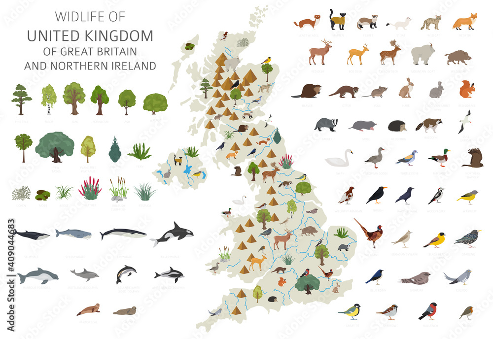 Flat design of United Kingdom wildlife. Animals, birds and plants ...