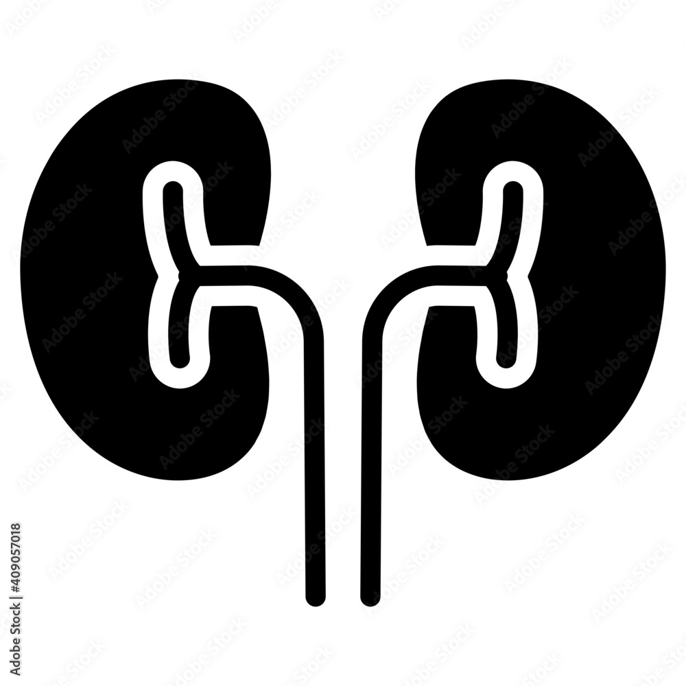Human nephron organ, kidneys icon Stock Vector | Adobe Stock
