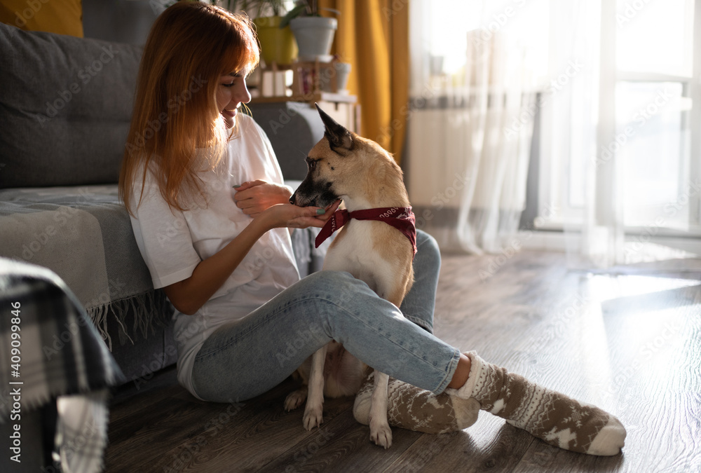 Smiling owner feeding dog on floor Stock Photo | Adobe Stock