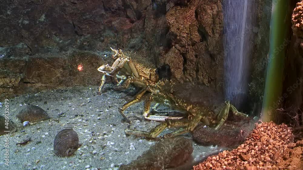 Hydrobiological Station of Rhodes-Aquarium the Aquarium houses the ...