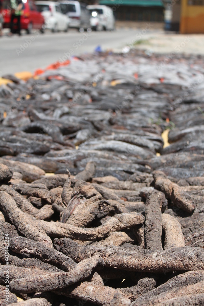 Dried white tiger sea cucumber used for food. Kota Kinabalu market.Sea ...