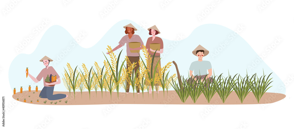 farmers planting on rice field fertilizer harvest with flat cartoon ...