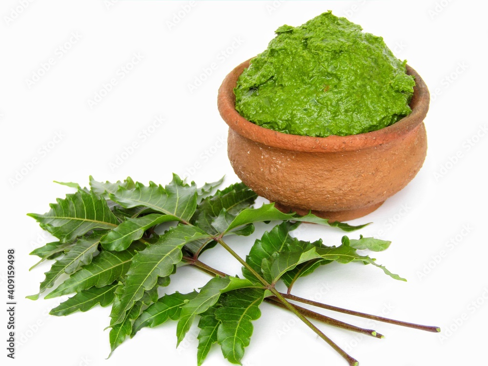 Neem paste with leaves isolated on white background Stock Photo | Adobe ...