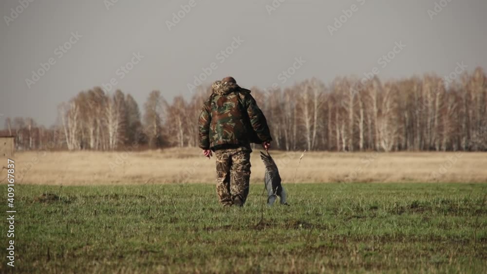 Hunter Walks Through Field. Carries Killed Bird in Hand. Successful ...