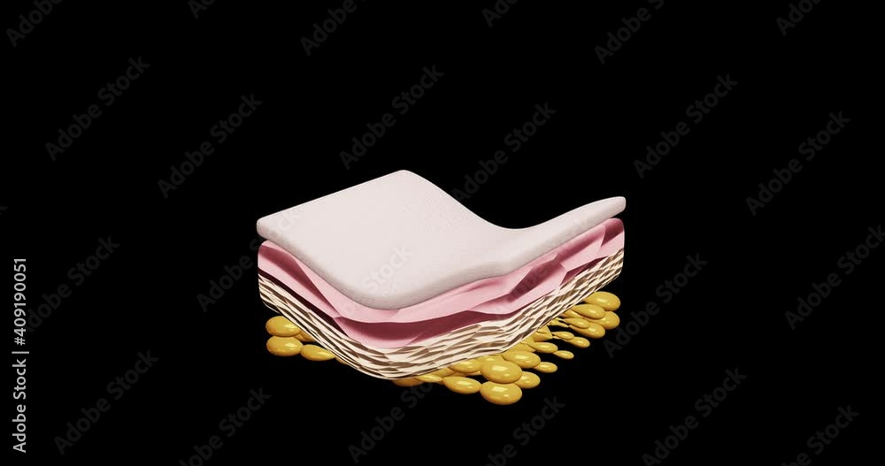 Stylized 3d rendering animation of the anatomy of the skin layers ...