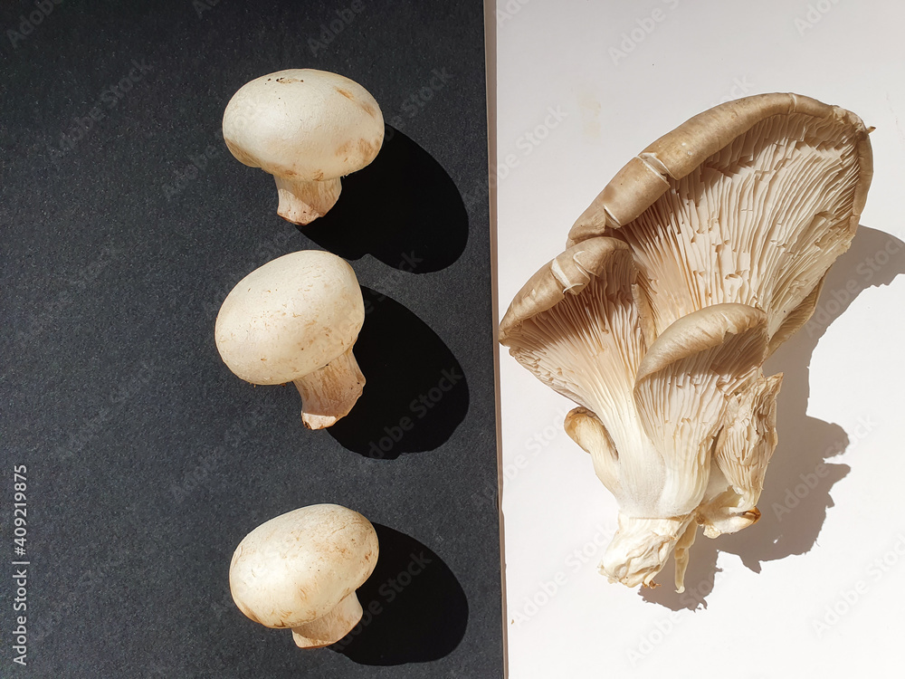 mushrooms on black background. Food concept. Creative layout made of ...