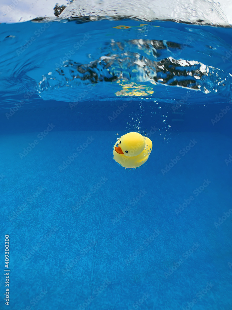 Yellow rubber duck submersed under water in a backyard swimming pool ...