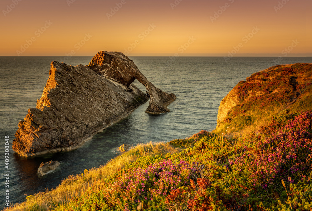 Poster Bow Fiddle Rock – Wall Art | UkPosters