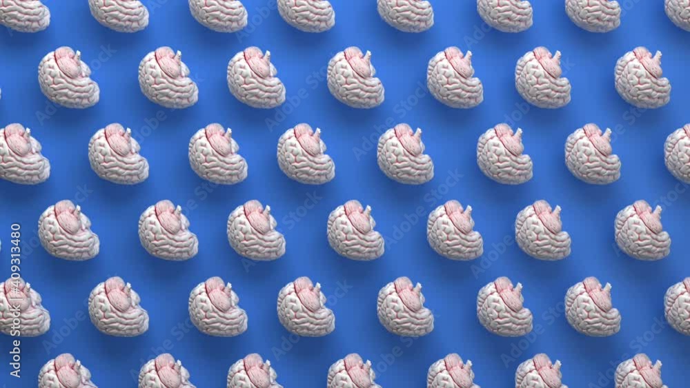 Real human brain internal cerebrum organ model seamless looping ...